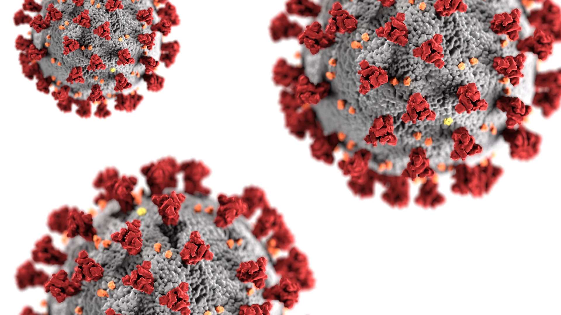 The Dangerous Delta COVID-21 Virus - Age Management Boston